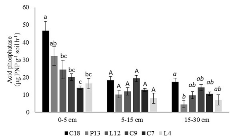 SOIL ENZYMATIC ACTIVITIES IN AREAS WITH STAGES AND MANAGEMENT OF FOREST ...