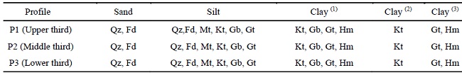 ASSOCIATIONS BETWEEN ATTRIBUTES OF NITISOLS AND THE CLIMATE OF THE ...