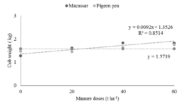SOIL MICROBIOLOGICAL ACTIVITY AND PRODUCTIVITY OF MAIZE FODDER WITH ...
