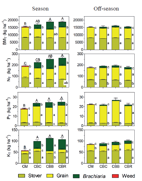 Contribution of corn intercropped with Brachiaria species to nutrient ...