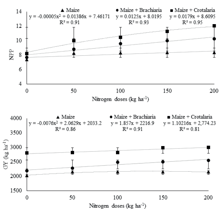 Maize cropping systems and response of common bean in succession subjected to nitrogen fertilization