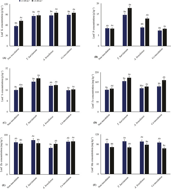Leaf inoculation of Azospirillum brasilense and Trichoderma harzianum in hydroponic arugula ...