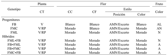 Caracterización morfológica de híbridos de chile manzano
