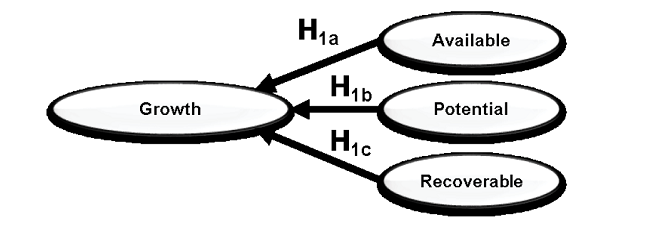 FINANCIAL SLACK AS DRIVER OF BRAZILIAN FIRMS’ GROWTH