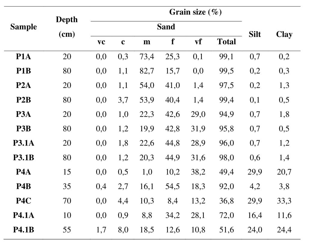 GEOMORPHOLOGICAL EVOLUTION OF THE COASTAL PLAINS IN THE HOLOCENE