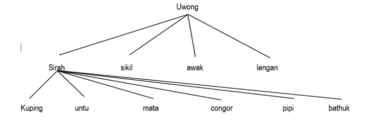 Javanese Lexical Configuration