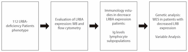 Clinical, immunological and genetic characteristic of patients with ...