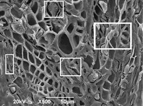Characterization of activated carbon synthesized at low temperature ...