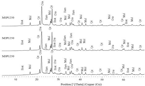 Influence of raw materials and forming technique in the manufacture of ...