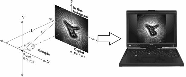 Digital lensless holographic microscopy and applications