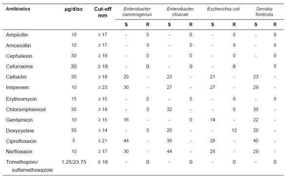 Presence of extended-spectrum beta-lactamase (ESBL)- producing ...