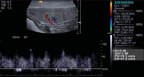 What Is A Normal Minimum Usg For A Dog