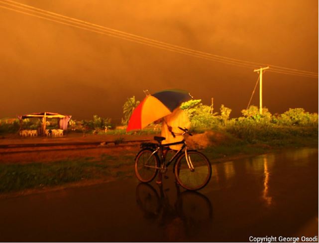 Aire: actante y metáfora en el delta del Níger de George Osodi*