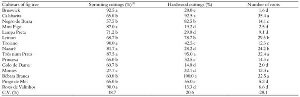 Rooting of stem segments from fig tree cultivars