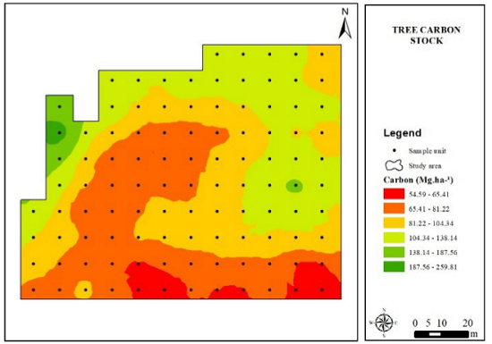 Above and belowground carbon stock in a tropical forest in Brazil