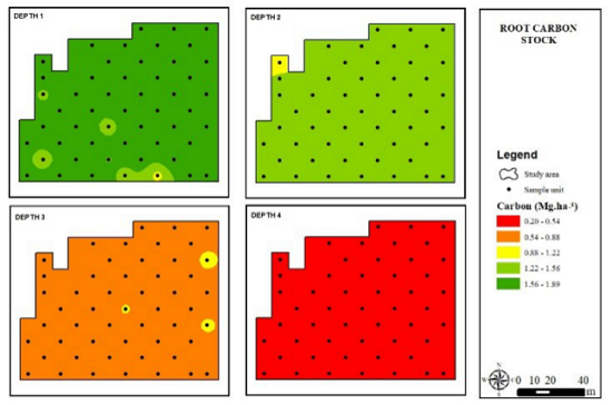 Above and belowground carbon stock in a tropical forest in Brazil