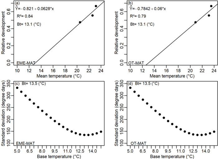 Base temperature, cycle duration, and thermal constant for yacon culture