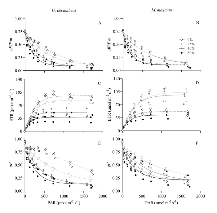 Shade induces contrasting light photosynthetic performance between ...
