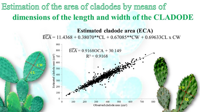 Digital platform for experimental and technical support to the ...