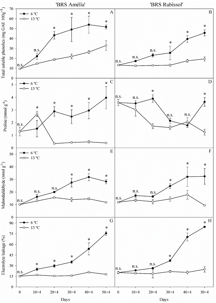 Biochemical responses to chilling injury in sweet potato after cold storage
