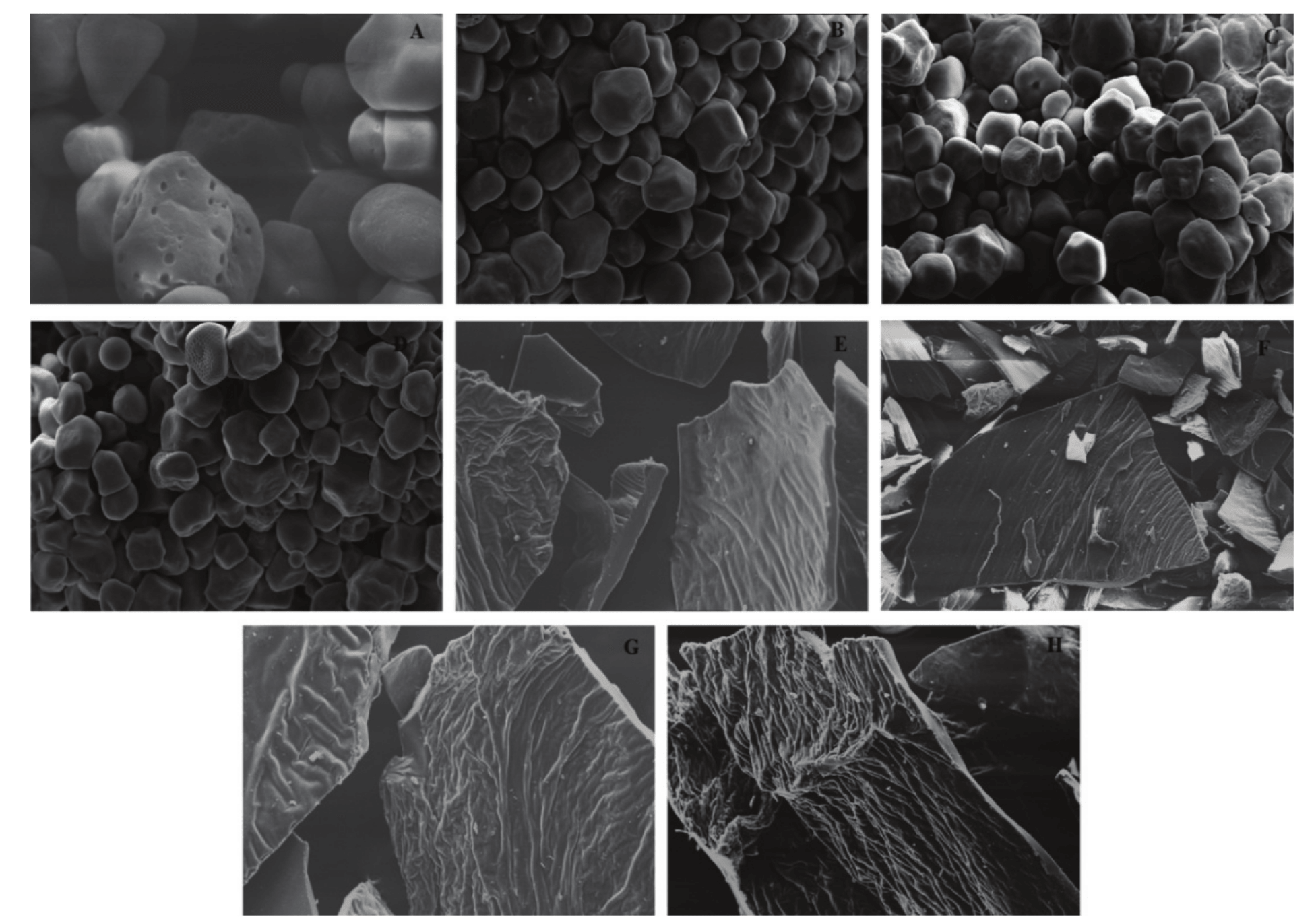 Effect of individual and combined physical treatments on the properties ...