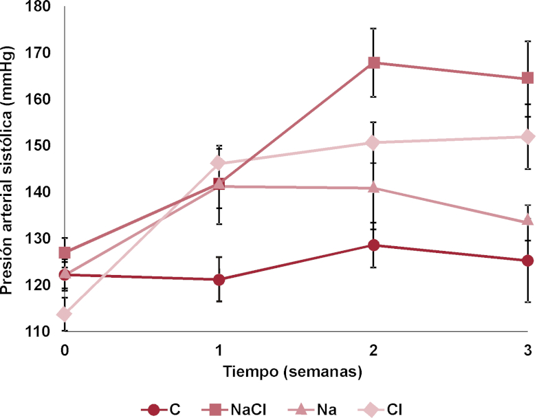 Hacia el esclarecimiento del rol del anión cloruro en la hipertensión ...