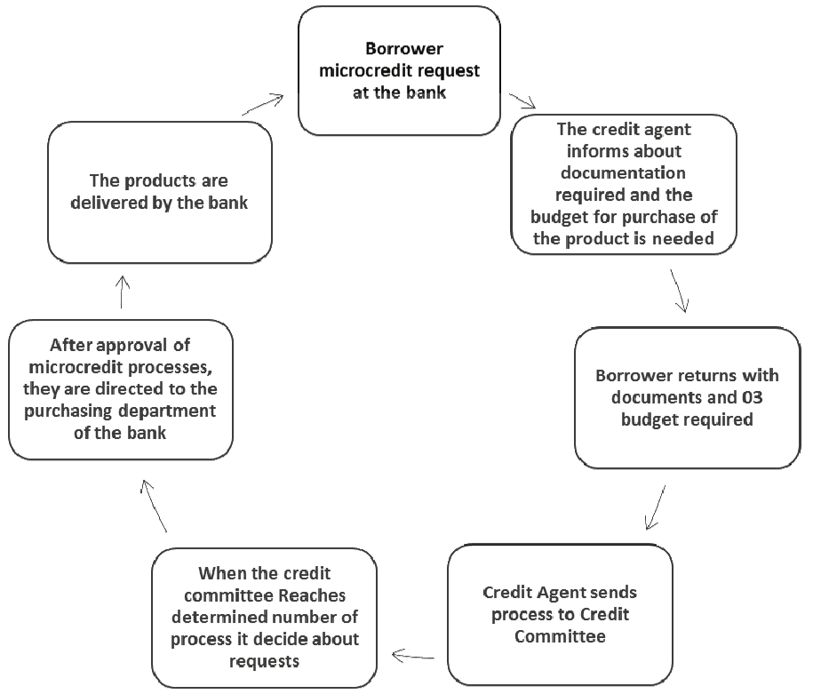 Performance of microcredit banks: the offering process in the credit ...