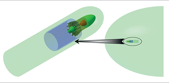 The Effects of Spoilers on Jet Mixing of Lobed Nozzles