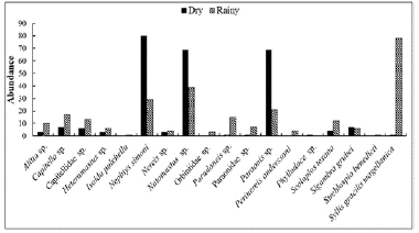 STRUCTURE OF A POLYCHAETE COMMUNITY IN A MANGROVE IN THE NORTHERN COAST ...