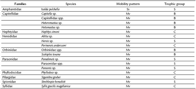 STRUCTURE OF A POLYCHAETE COMMUNITY IN A MANGROVE IN THE NORTHERN COAST ...
