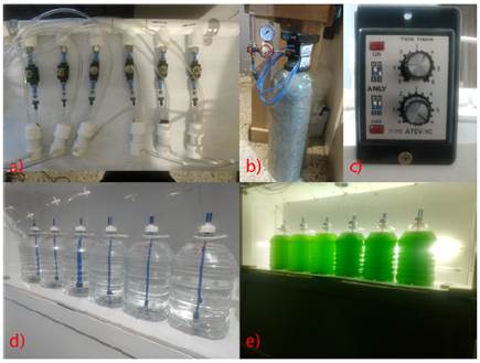 BIOFIJACIÓN DE CO2 POR DOS ESPECIES DE MICROALGAS CULTIVADAS EN ...