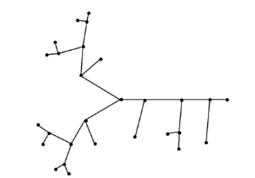Examples of codification of the dynamics of a rational function into a ...
