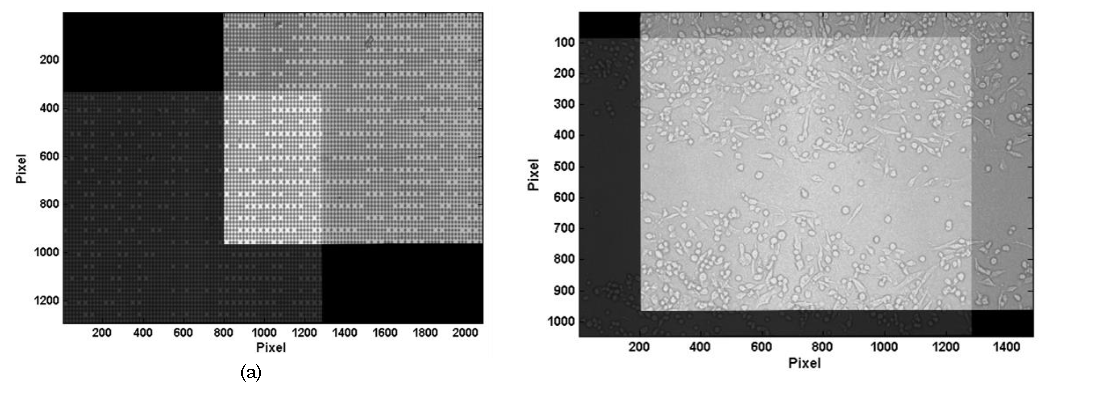 Visual in-plane positioning of a Labeled target with subpixel Resolution: basics and application