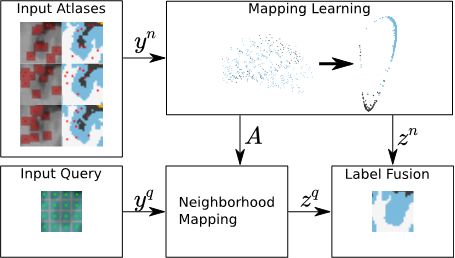 Multi-atlas label fusion by using supervised local weighting for brain image segmentation