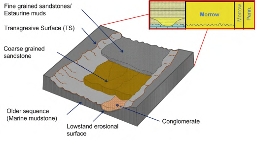 Neural model to estimate permeability from well logs and core data