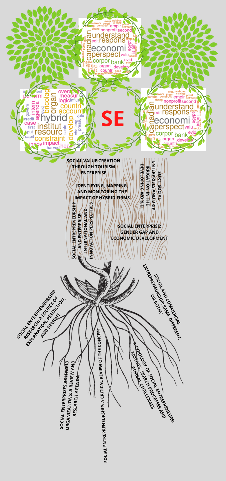 Empresas sociales de países en desarrollo: análisis bibliométrico y ...