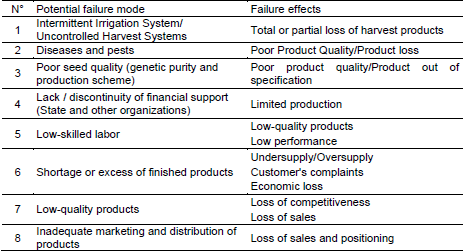 Application of the failure mode and effects analysis tool in small ...