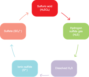 MINING APPLICATIONS OF IMMOBILIZED MICROBIAL CELLS IN AN ALGINATE ...