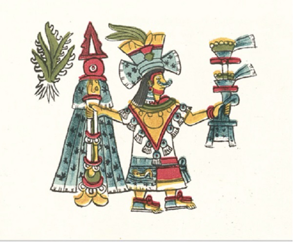 Hierbas medicinales y semiosis colonial: Ilustraciones indígenas en dos ...