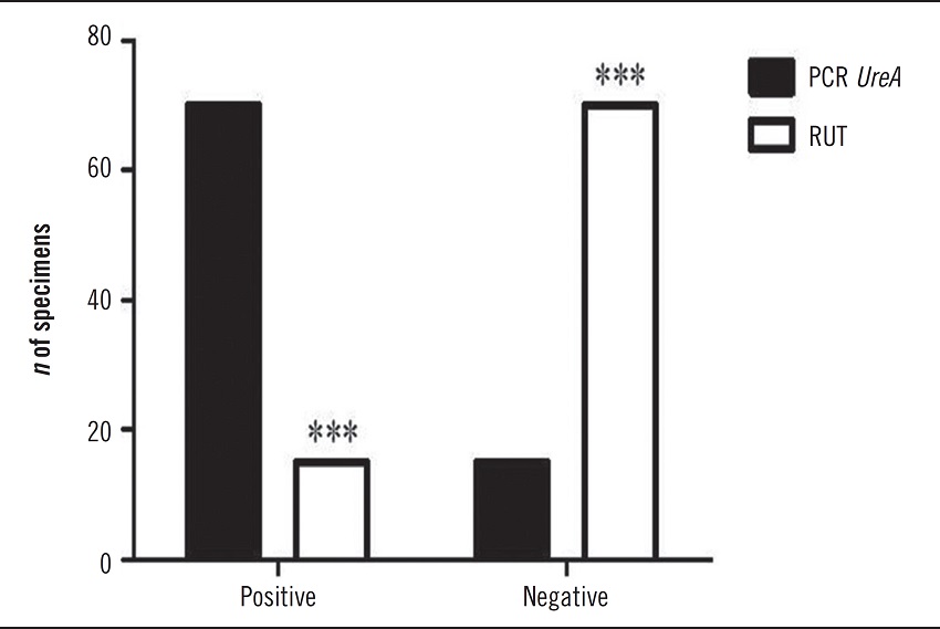 Molecular technique for detection and identification of Helicobacter ...