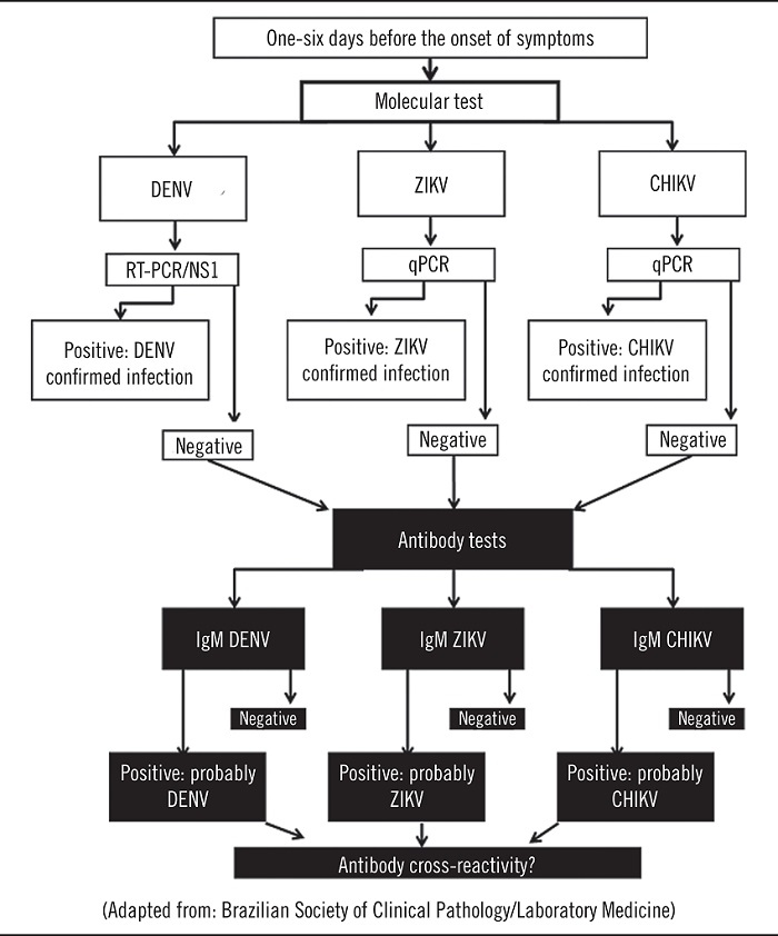 Clinical and laboratory diagnosis of Zika fever: an update
