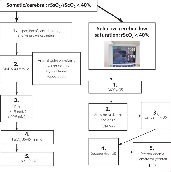 Multimodal Neuromonitoring During Pediatric Cardiac#N# Surgery