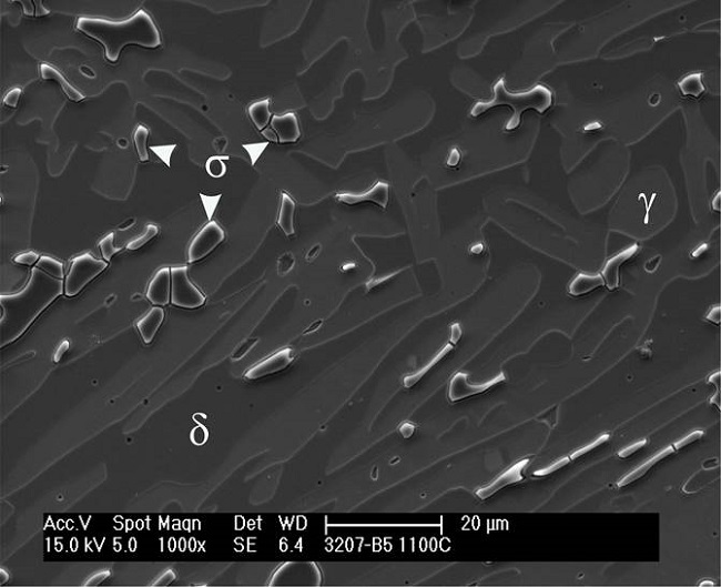 Effect of Annealing Temperature on the microstructure of hyperduplex ...