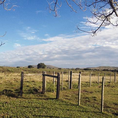 Fences in the borderland: technique, landscape and the architectures of ...