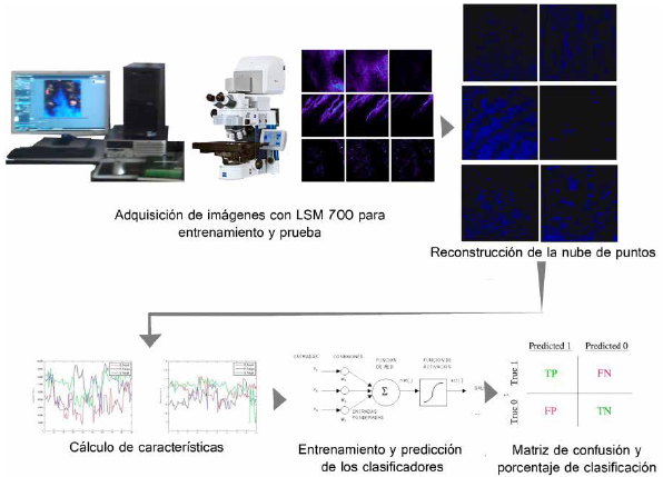 Fractographic classification in metallic materials by using 3D processing and computer vision ...