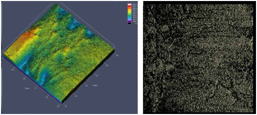 Fractographic classification in metallic materials by using 3D processing and computer vision ...