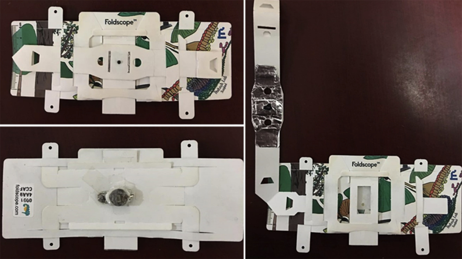 Evaluación de Foldscope, un microscopio de papel basado en origami útil ...