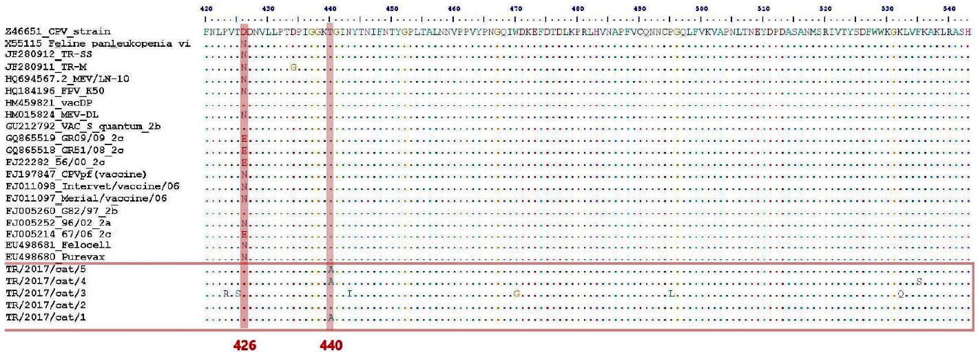 Comparison of partial and full VP2 gene sequences of parvovirus from ...