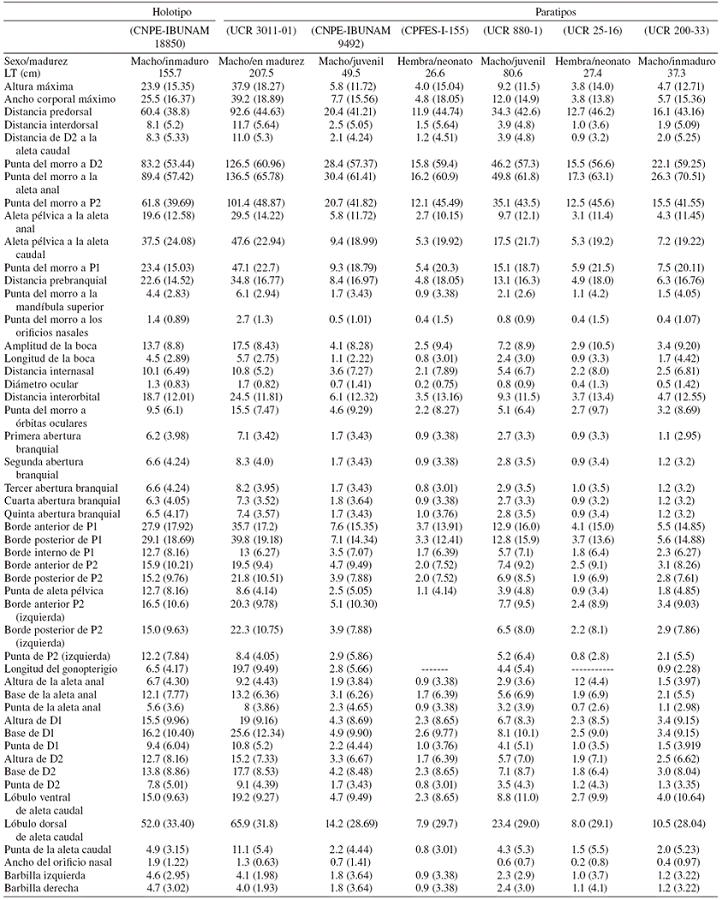 Ginglymostoma unami sp. nov. (Chondrichthyes: Orectolobiformes ...