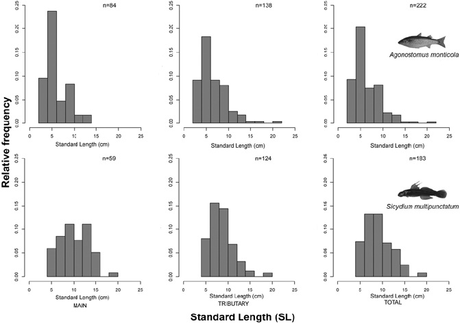 Your place, my place…, distribution of Agonostomus monticola and ...